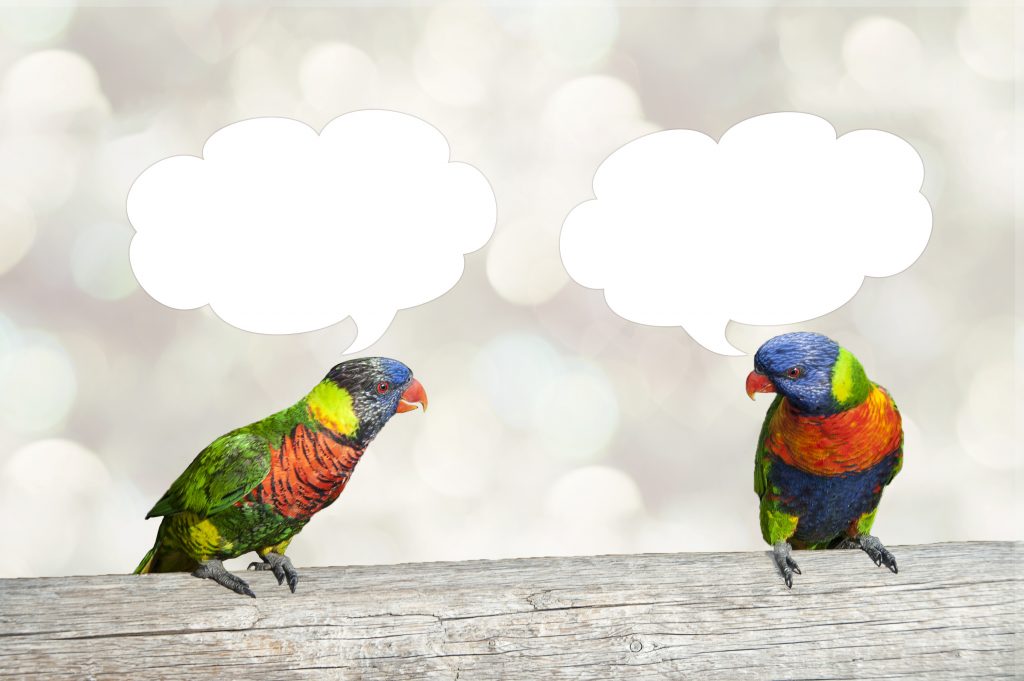 Oscar Invites You to a Conversation | Betsy Warland